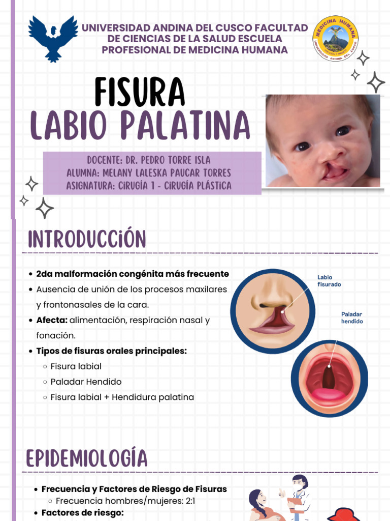 Fisura Labio Palatina | PDF | Odontología | Ortodoncia