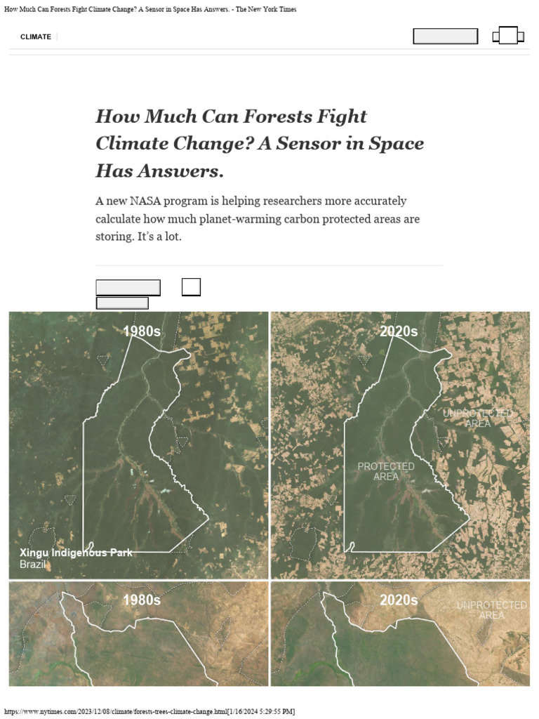 How Much Can Forests Fight Climate Change A Sensor in Space Has Answers ...