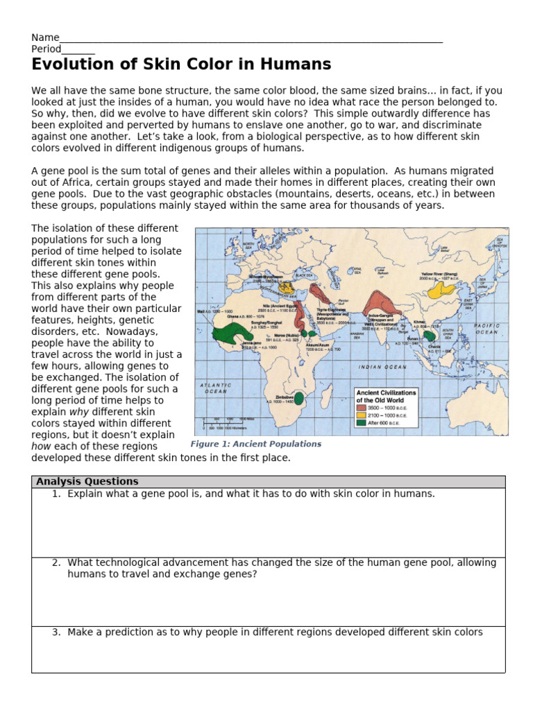 Evolution of Skin Color in Humans | PDF | Human Skin Color | Vitamin D