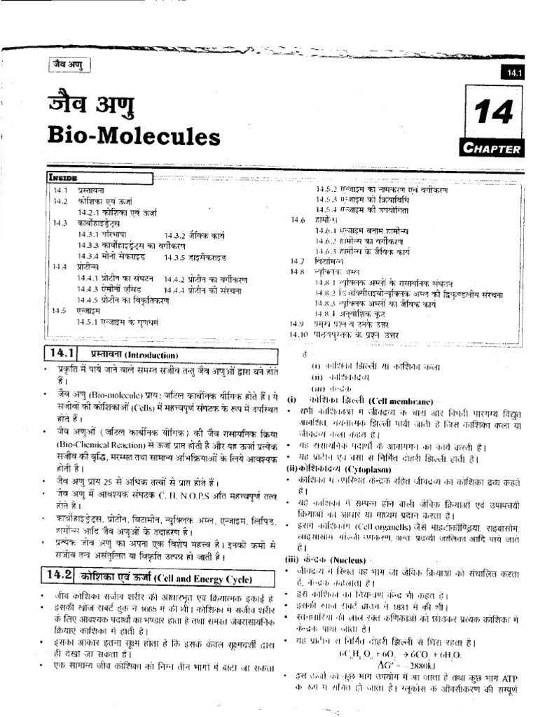 Selfstudys Com File (9) | PDF