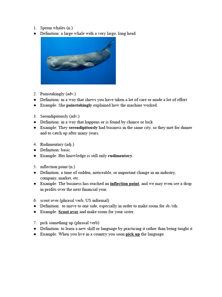 Vocabulary Definitions and Examples | PDF