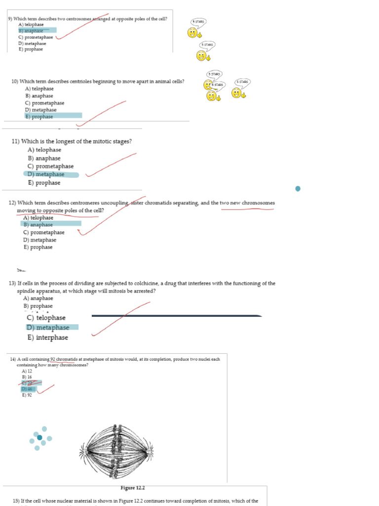 _JayaRam_4_Dec_2024_2057 | PDF