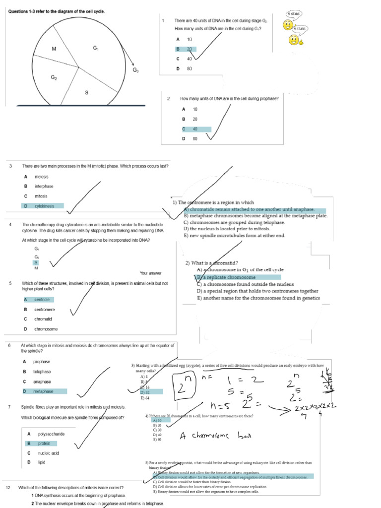 JayaRam 4 Dec 2024 2036 | PDF