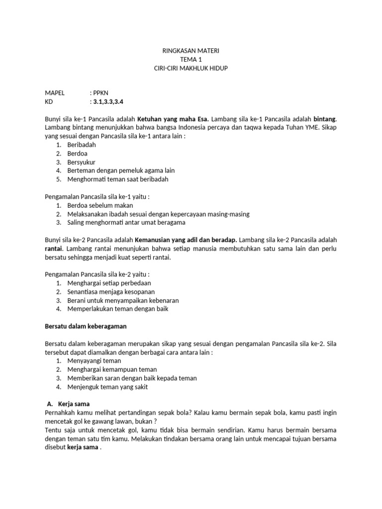 Tema 1 RPP PKN | PDF