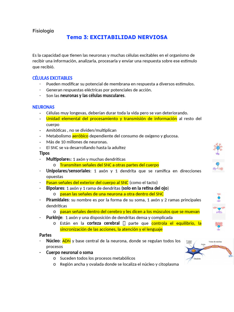 Excitabilidad Nerviosa | PDF | Potencial de acción | Neurona