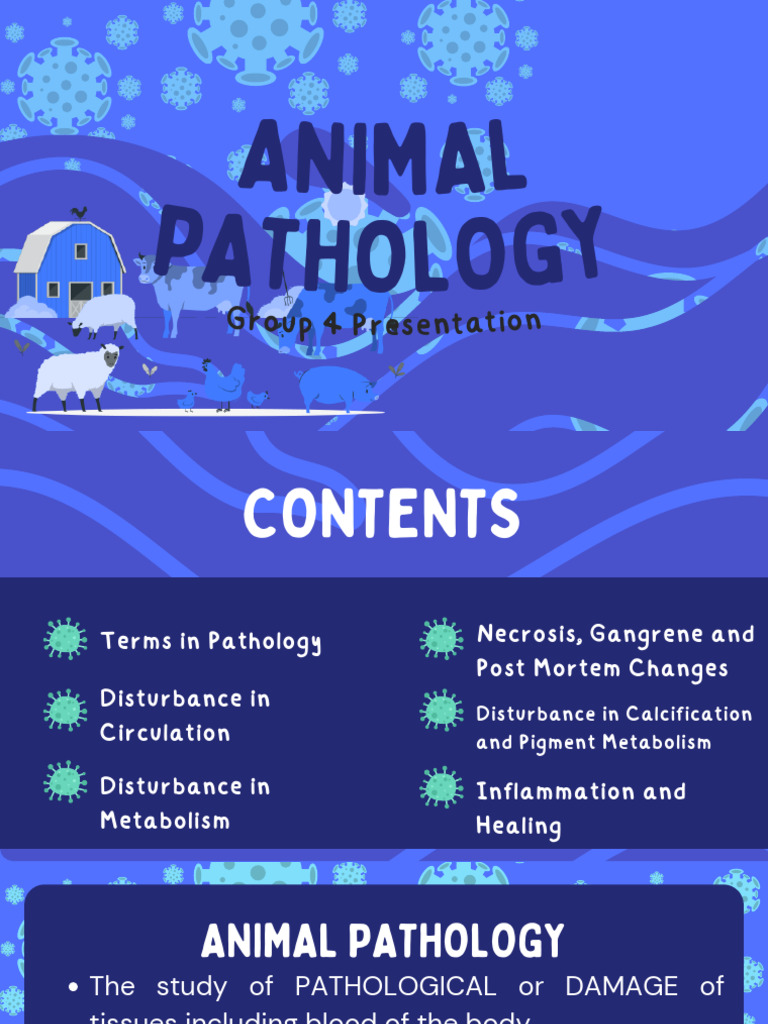 Animal Pathology Reporting | PDF | Ischemia | Necrosis