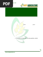 Non Conventional Farming System | PDF | Agriculture | Hydroponics