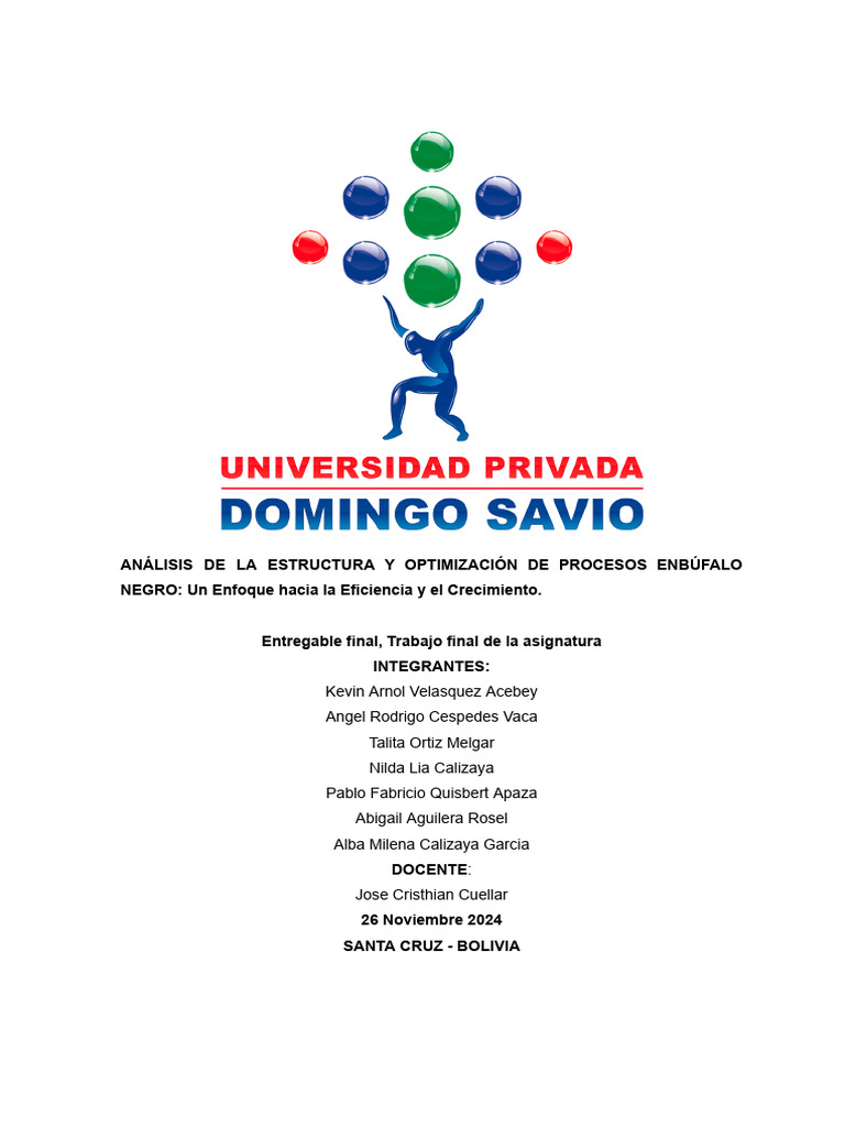 Proyecto Final | PDF | Business | Planificación