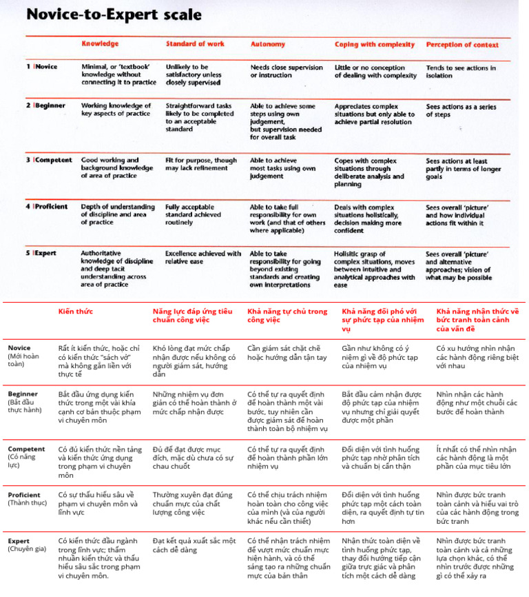 Novice-to-expert-scale | PDF