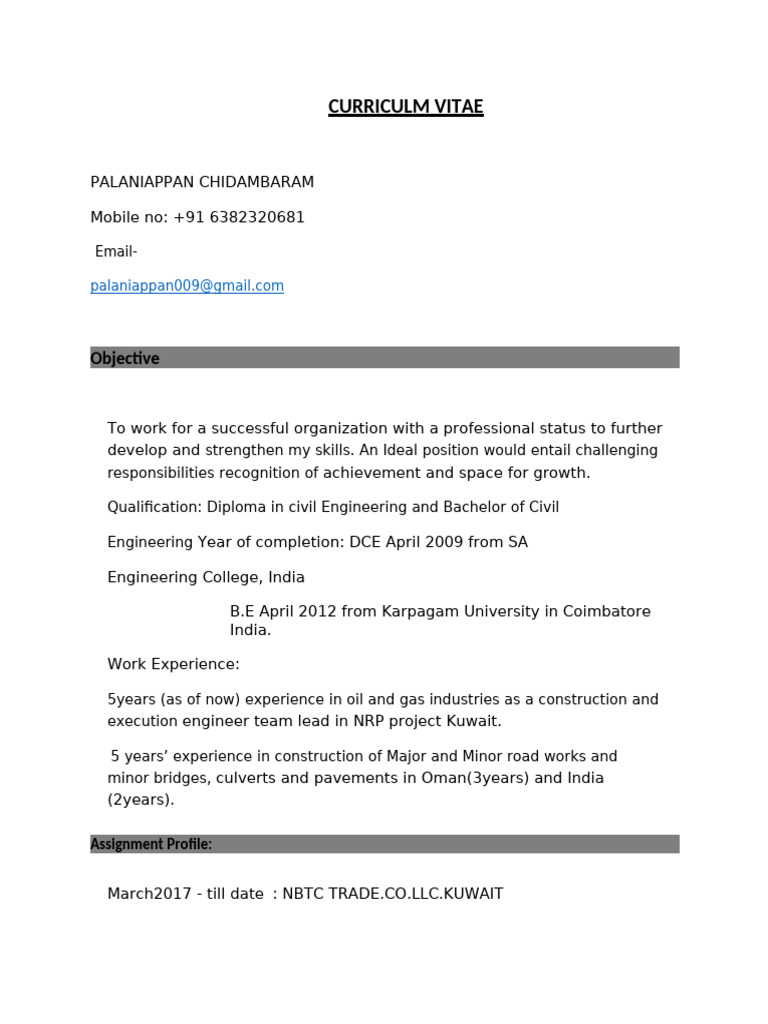 CV 141 | PDF | Engineering