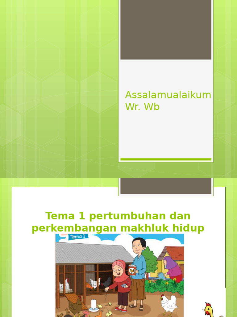 Tema 1 sub tema 1 pb 1 | PDF