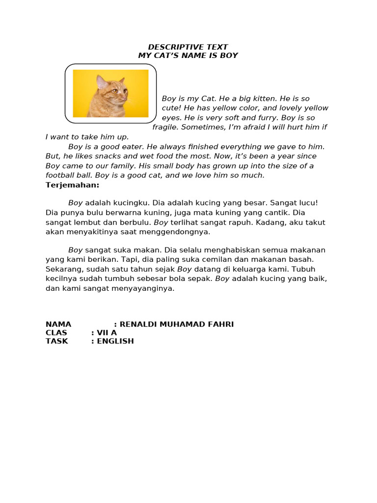 Descriptive Text My Cat | PDF