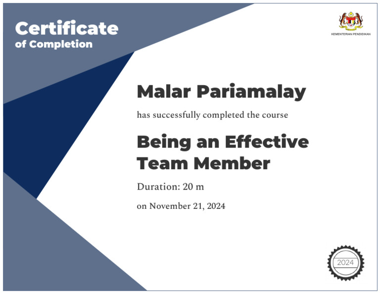 Being An Effective Team Member | PDF