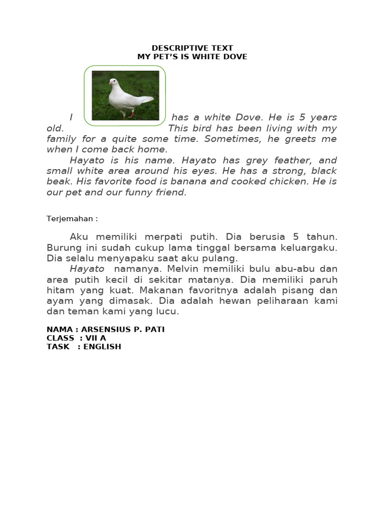DESCRIPTIVE TEXT Merpati | PDF
