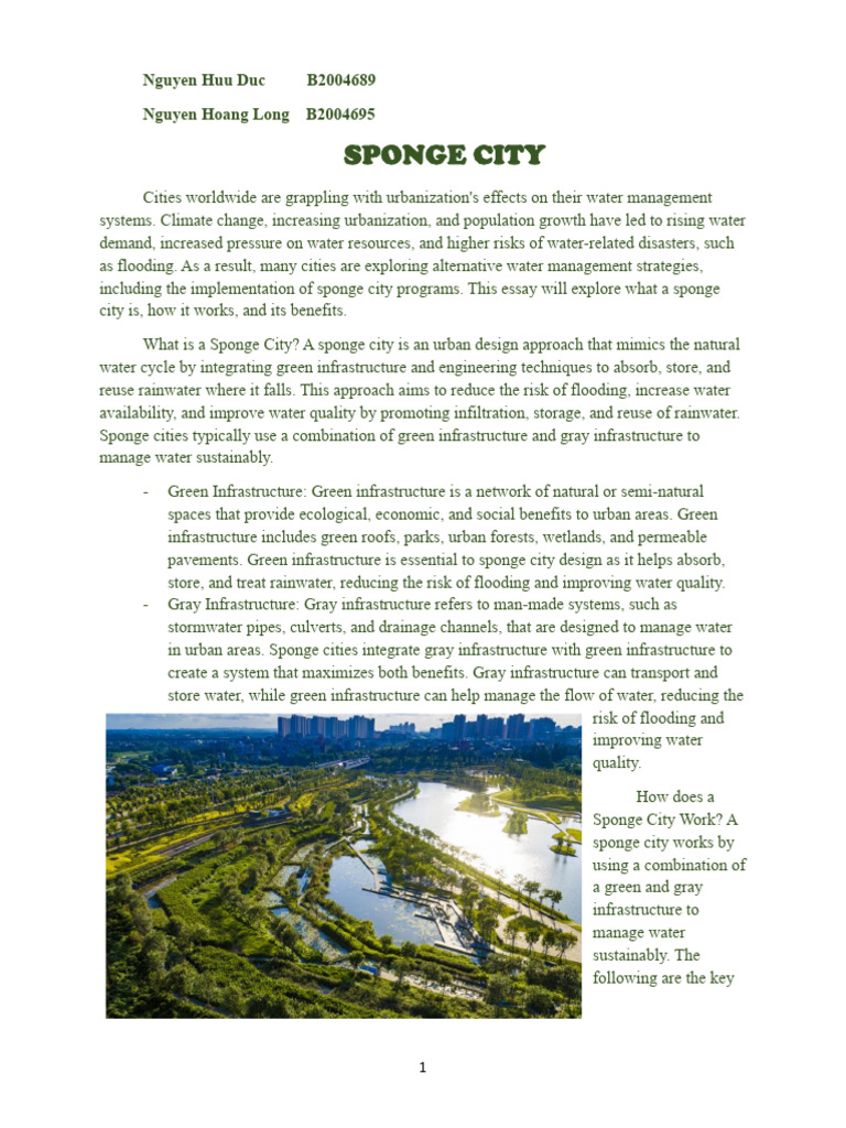 Essay Sponge City | PDF | Green Infrastructure | Stormwater