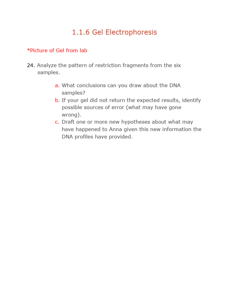 Annotated-1.1.6 Gel Electrophoresis | PDF