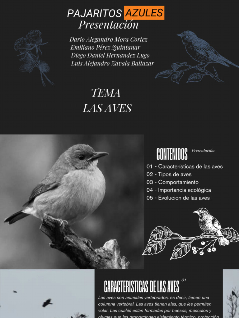 Biologia Aves | PDF