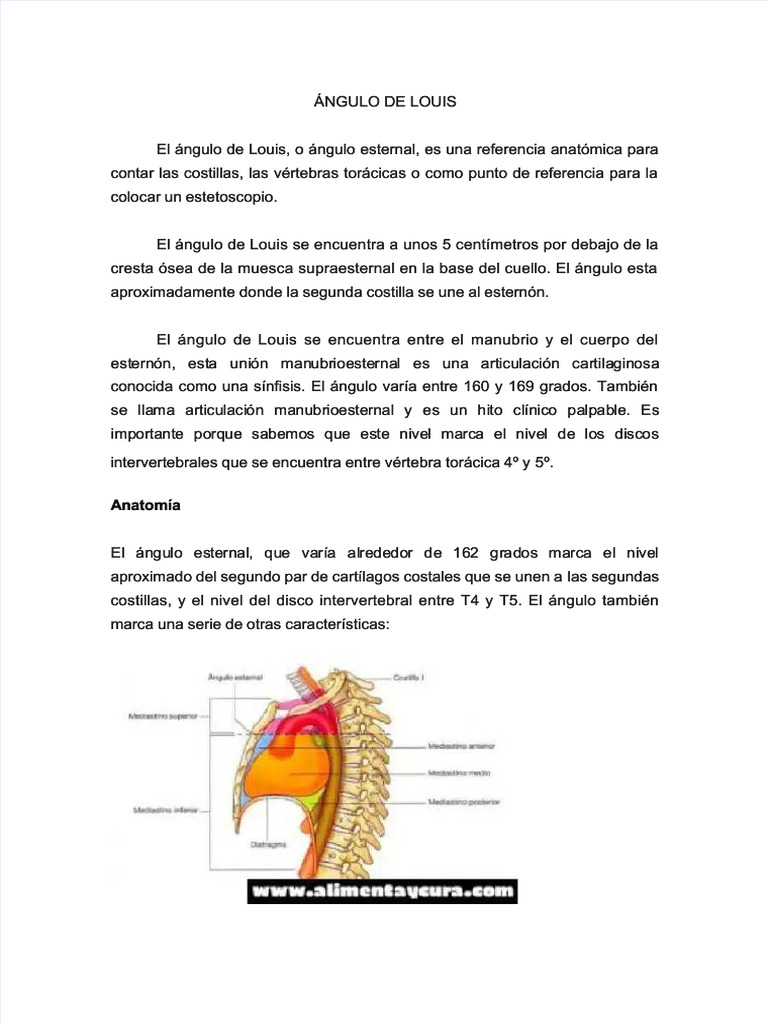 PDF Angulo de Louis - Compress | PDF | Aorta | Angiología