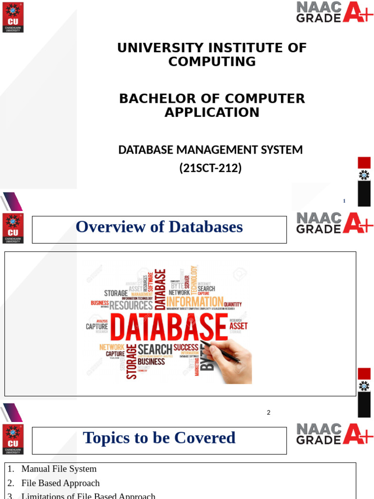 Lecture 2 (File based system) | PDF | Computer File | Databases