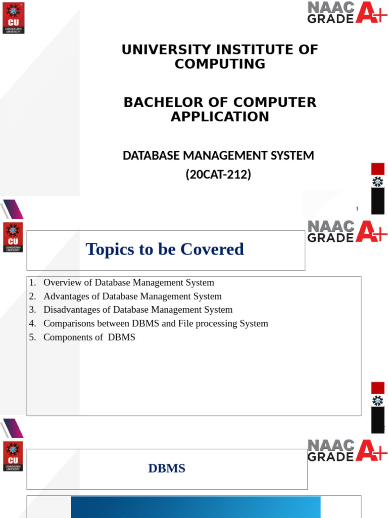 Lecture 5 Advantages Of Dbms Over File System Approach Pdf Databases Computer Hardware