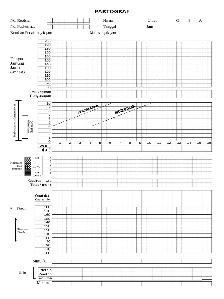 Format PARTOGRAF | PDF