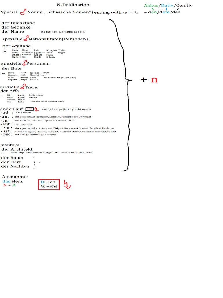 N-Declination of The German Language | PDF