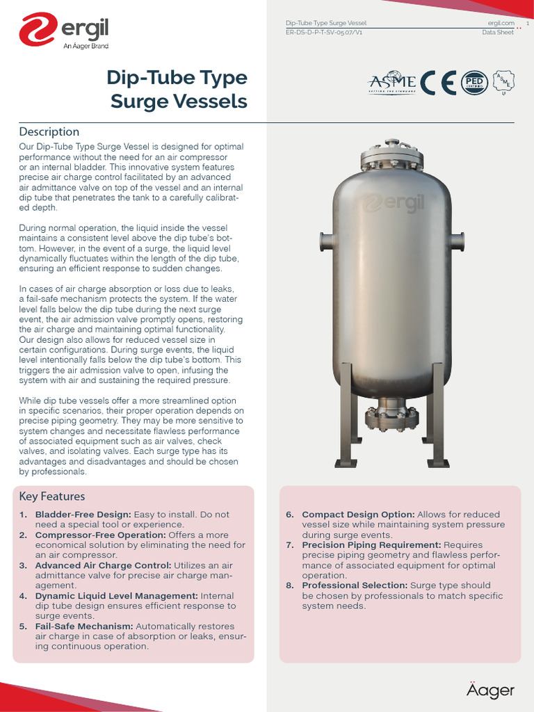 Dip-Tube Surge Vessel Data Sheet | PDF | Valve | Leak