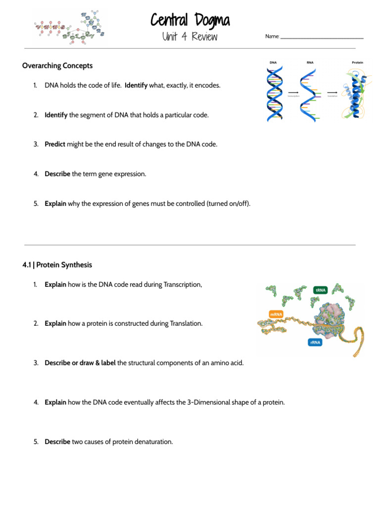 S2 Review - Unit 4 Central Dogma | PDF