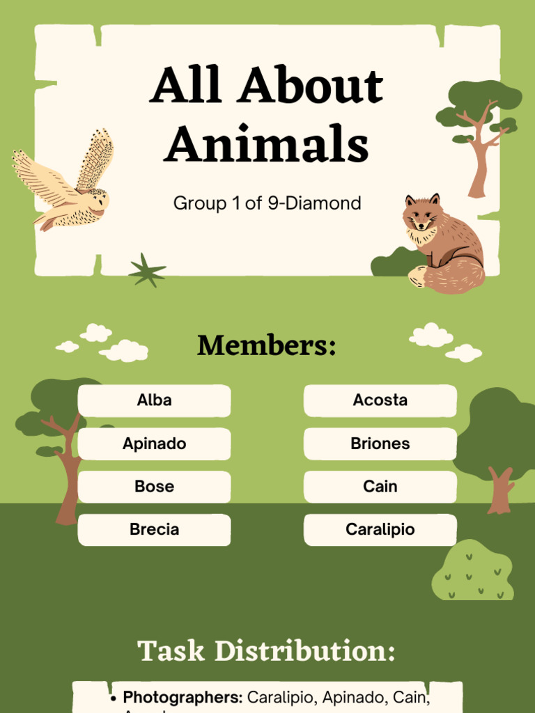 All About Animals | PDF | I Phone