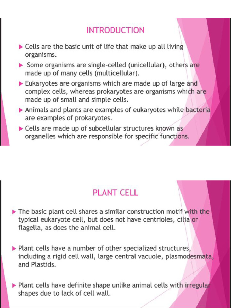 Plant Cell | PDF