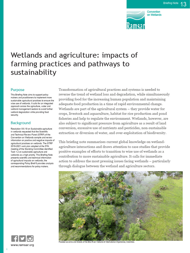 bn13 Agriculture e | PDF | Agriculture | Wetland