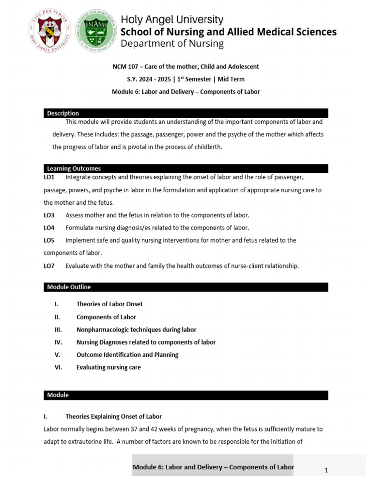 Labor and Delivery - Components of Labor | PDF | Pelvis | Childbirth