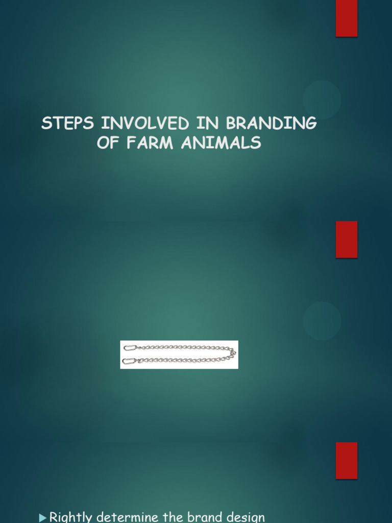 Animal WK 6 | PDF