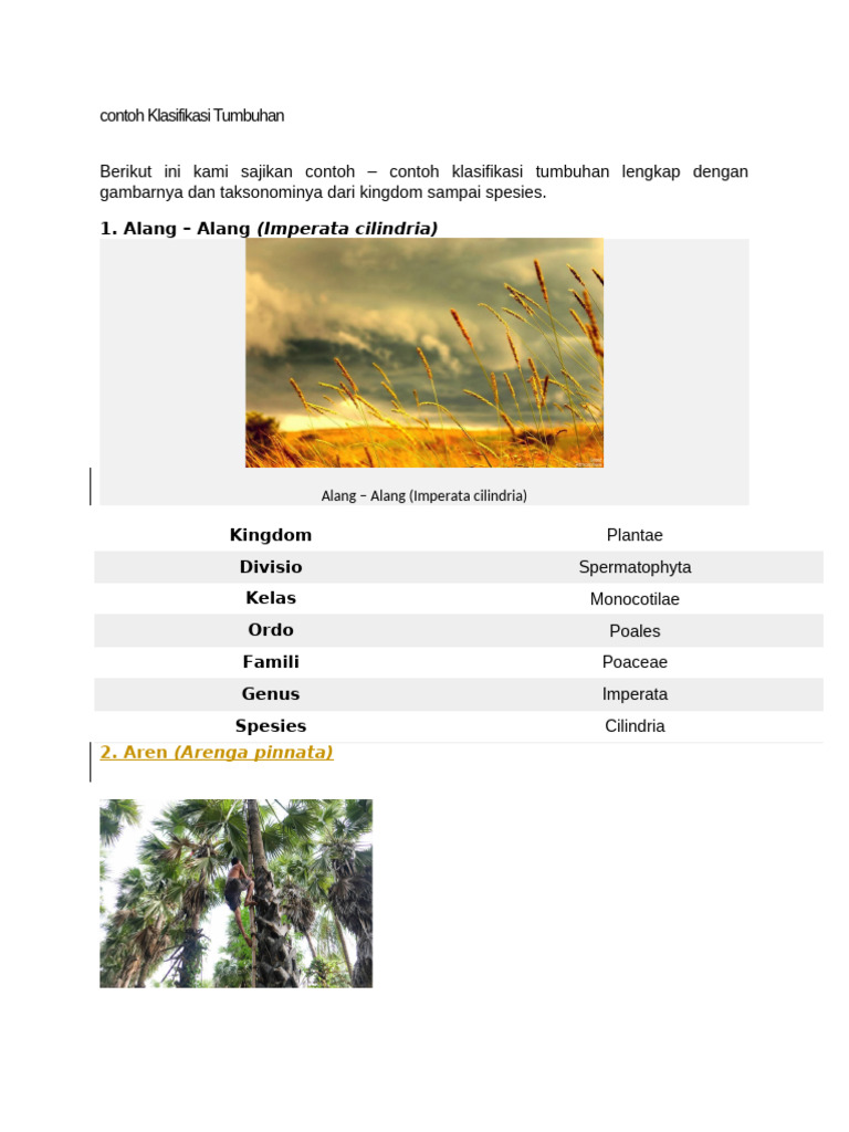 Contoh Klasifikasi Tumbuhan Lengkap | PDF