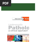 Mediterranean Sea Bordering Countries Map | PDF | Mediterranean Sea