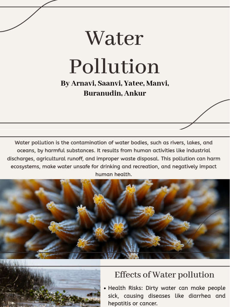 Water pollution | PDF