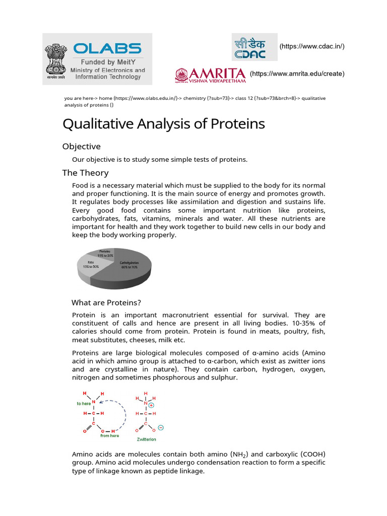Protein Practical Qualitative Test | PDF | Proteins | Amino Acid