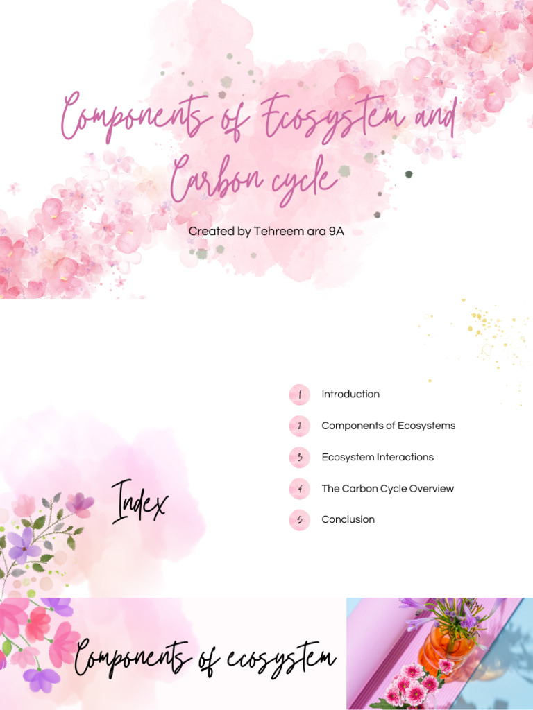 Components of Ecosystem and Carbon Cycle Biology PPT Crested by Tehreem ...