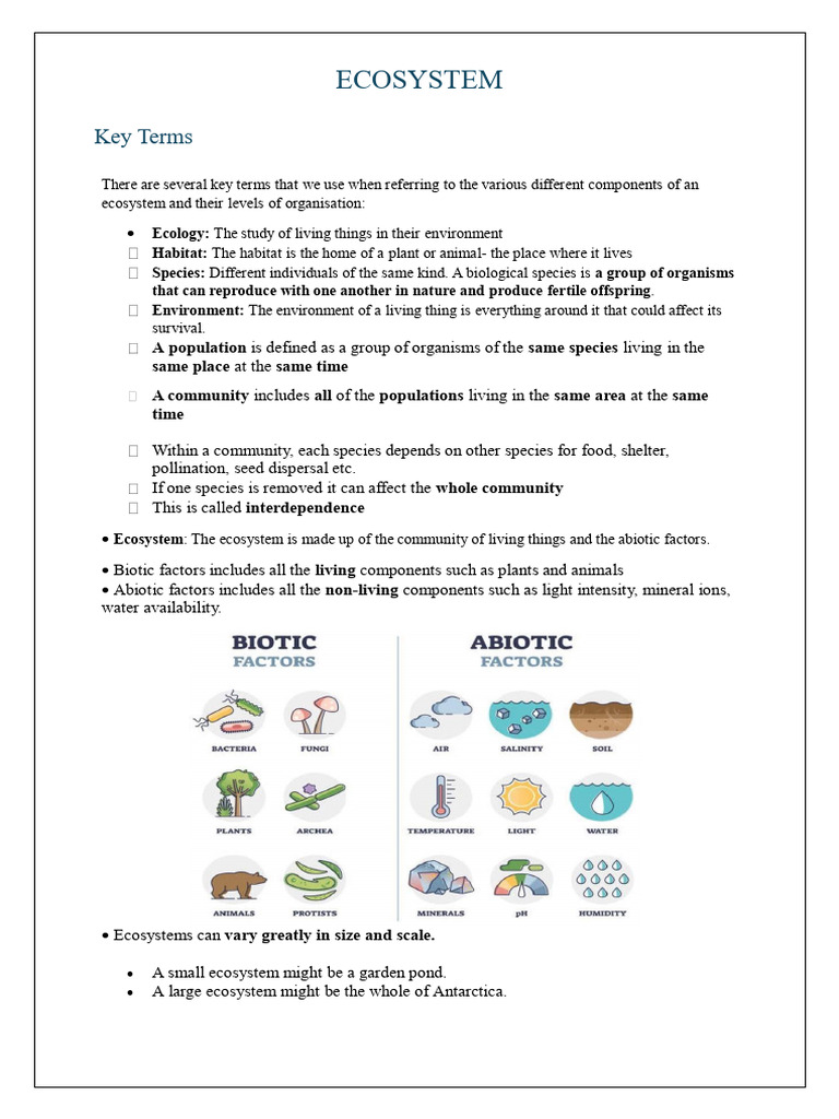 Ecosystem | PDF | Ecosystem | Grassland