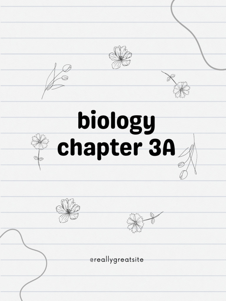 Biology Chapter 3 A | PDF | Heart Valve | Ventricle (Heart)