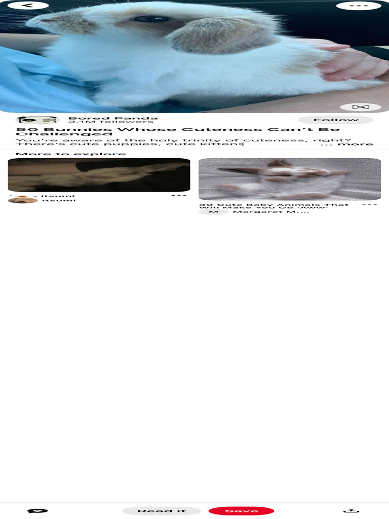 50 Bunnies Whose Cuteness Can't Be Challenged | PDF