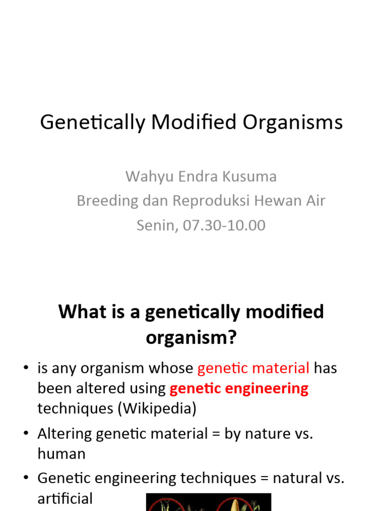 12. GMO_S2-Wahyu | PDF | Genetically Modified Organism | Gene