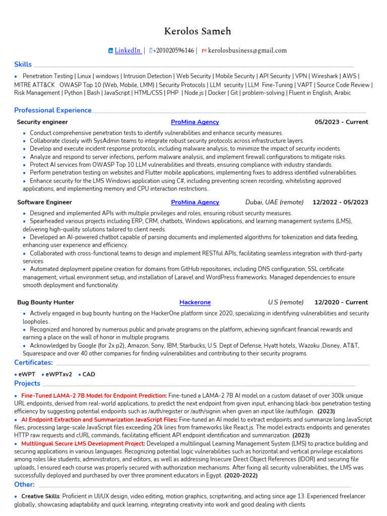 Kerolos Sameh: Skills | PDF | Computer Security | Security