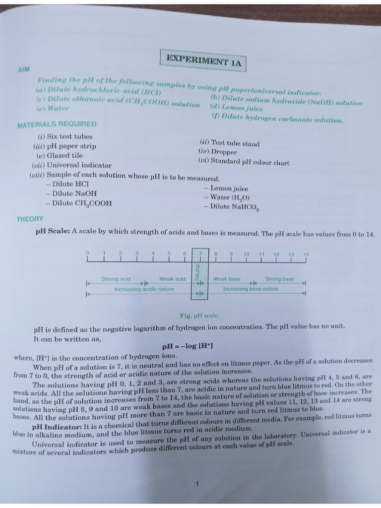 Lab Manual Practicals Class 10 | PDF