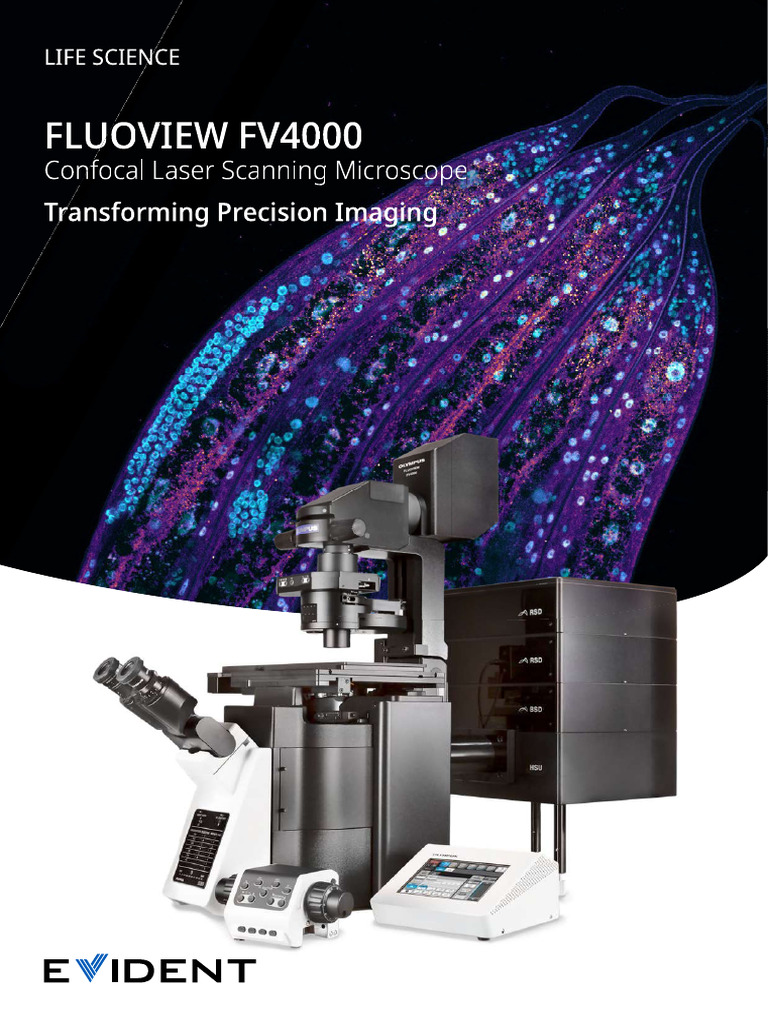 FV4000 en | PDF