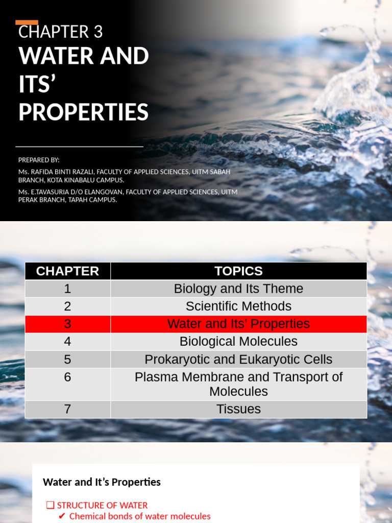 Water Properties and Structure Explained | PDF | Chemical Bond ...