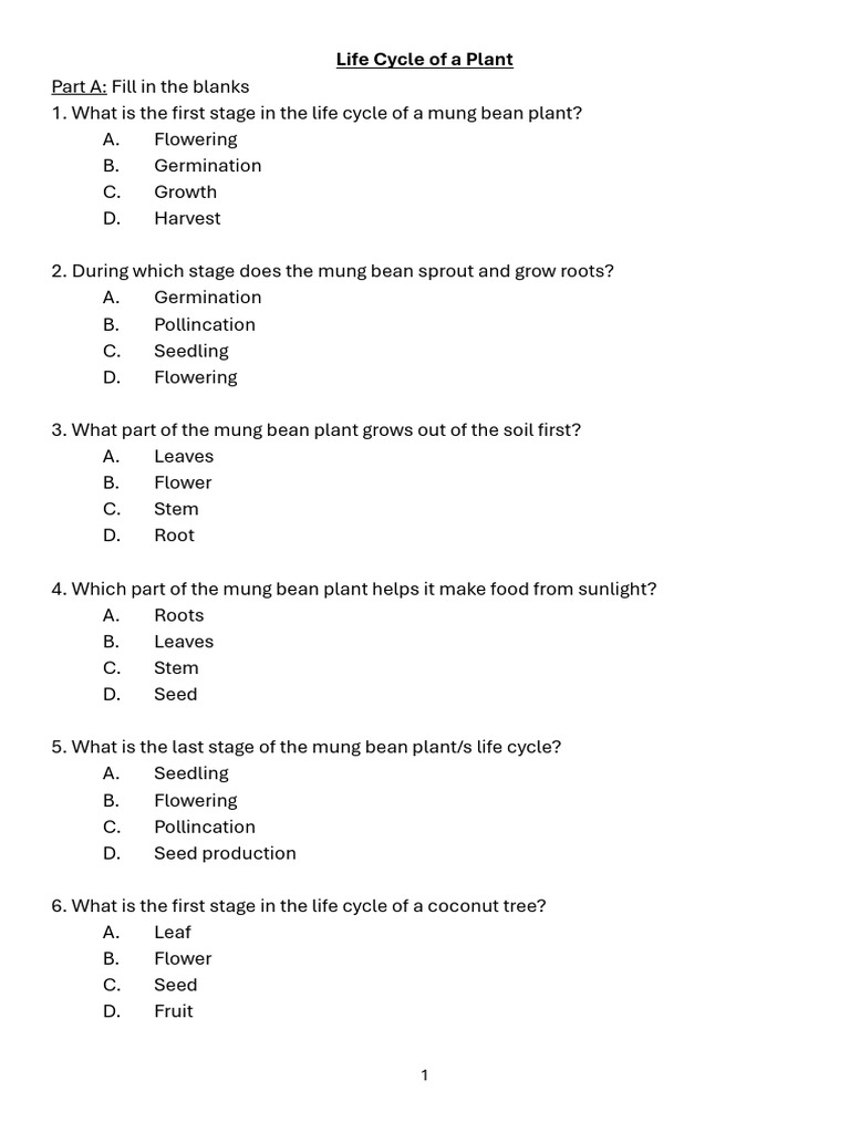 Plant Life Cycle Quiz and Activities | PDF | Seed | Trees