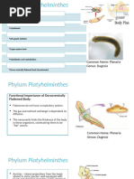 Anatomy of Snails | PDF | Mollusca | Molluscs