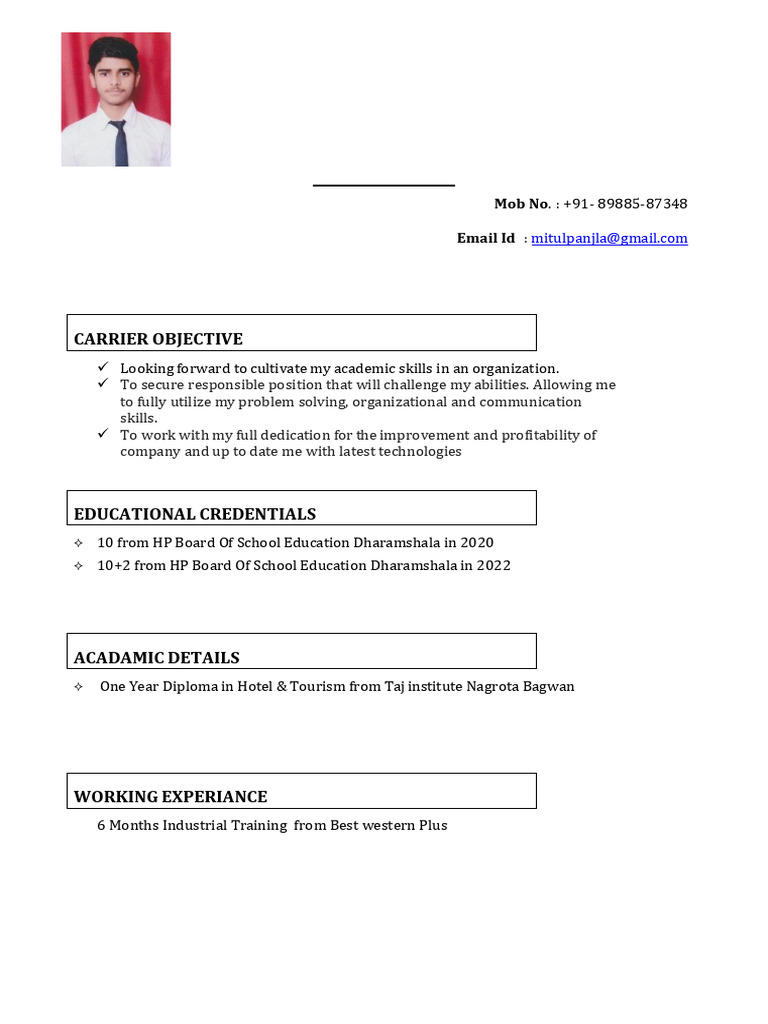 MITUL Resume | PDF