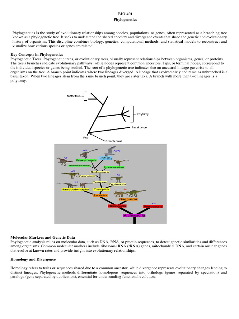 BIO 401 (phylogenetics and sequence alignments) | PDF | Sequence Alignment | Phylogenetics